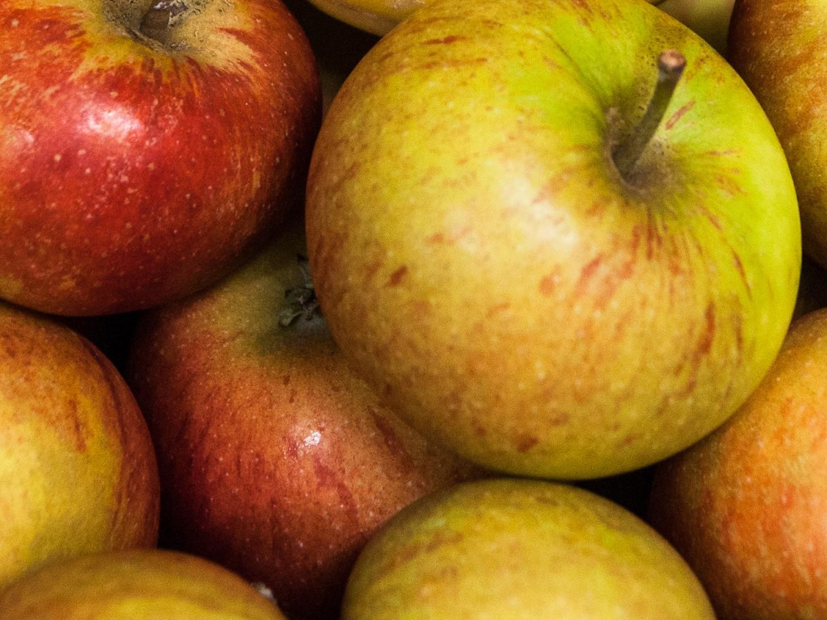 Der Apfel und die Mutterhefe | lamiacucina